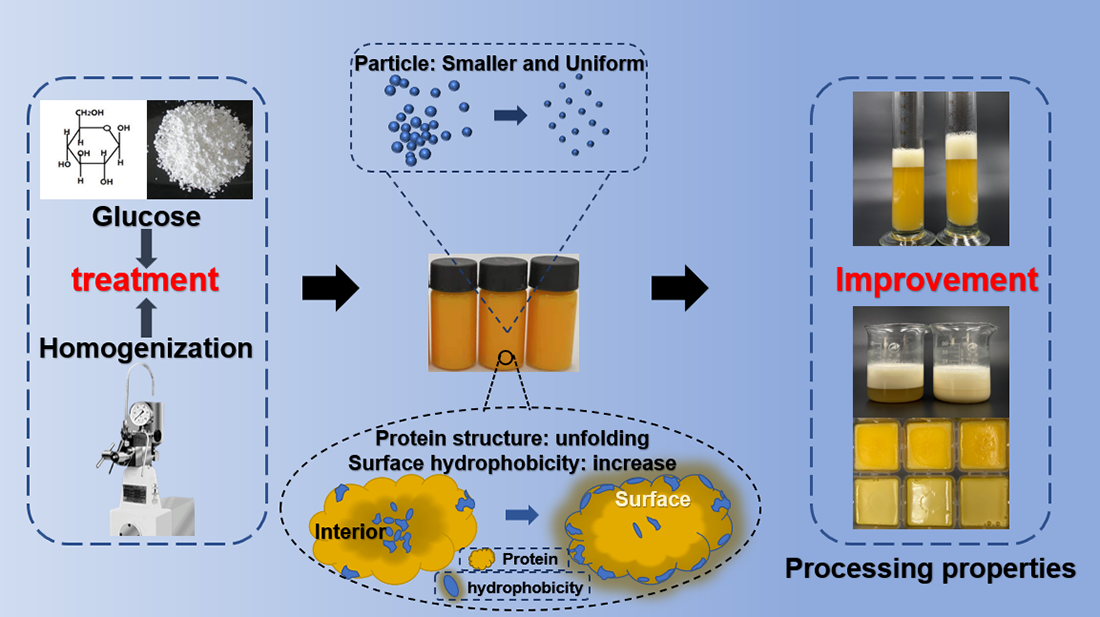 Foods | Free Full-Text | Effects of Glucose and Homogenization ...