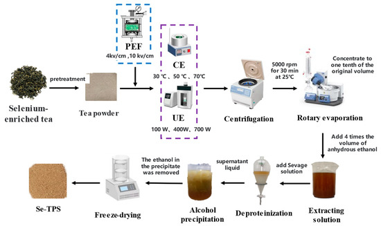 Polysaccharides in Selenium-Enriched Tea: Extraction Performance under ...