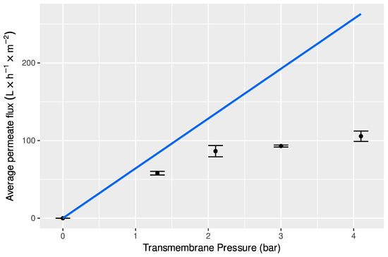 Foods | Free Full-Text | Membrane Technology for Valorization of Mango ...