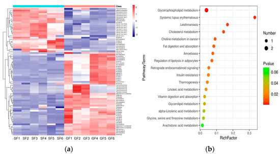 Lipidomics and Transcriptome Reveal the Effects of Feeding Systems on ...