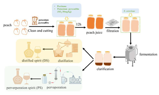 Characterization of Key Aroma-Active Compounds in Two Types of Peach ...