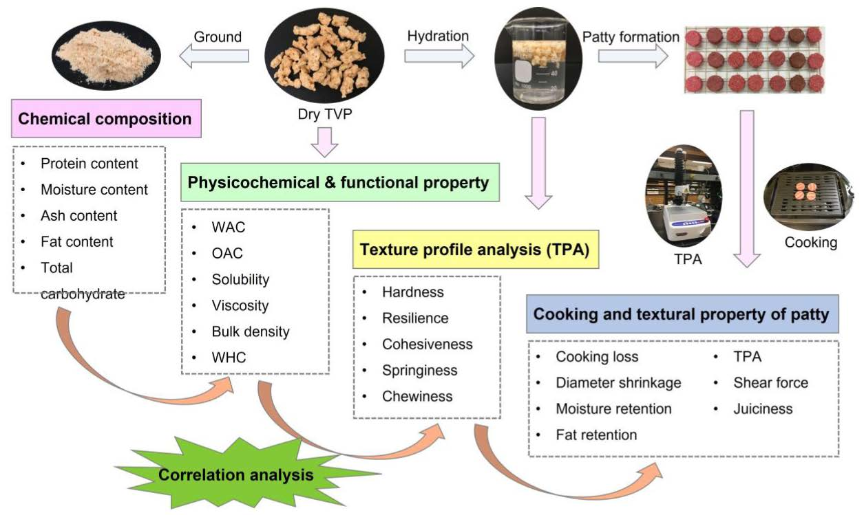 Foods | Free Full-Text | Physicochemical and Functional Properties of Texturized Vegetable ...