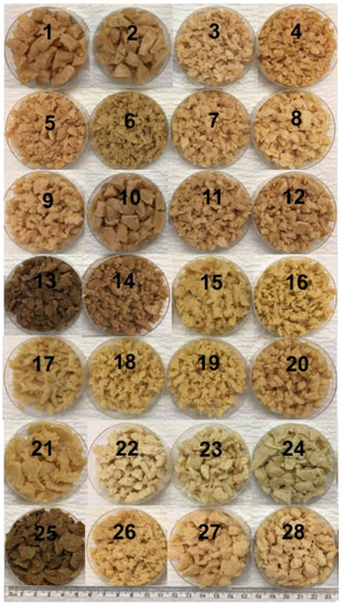 Physicochemical and Functional Properties of Texturized Vegetable ...