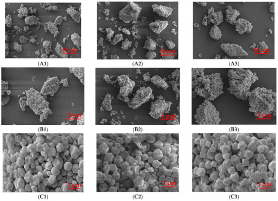 Multi-Scale Structures and Functional Properties of Quinoa Starch ...