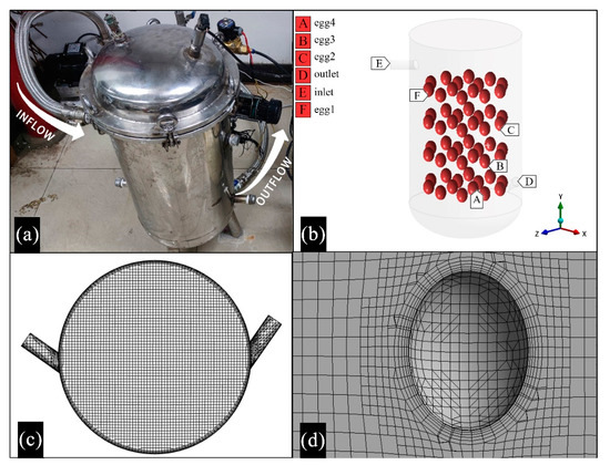 Simulation of Fluid Flow during Egg Pickling under Different Inlet and ...