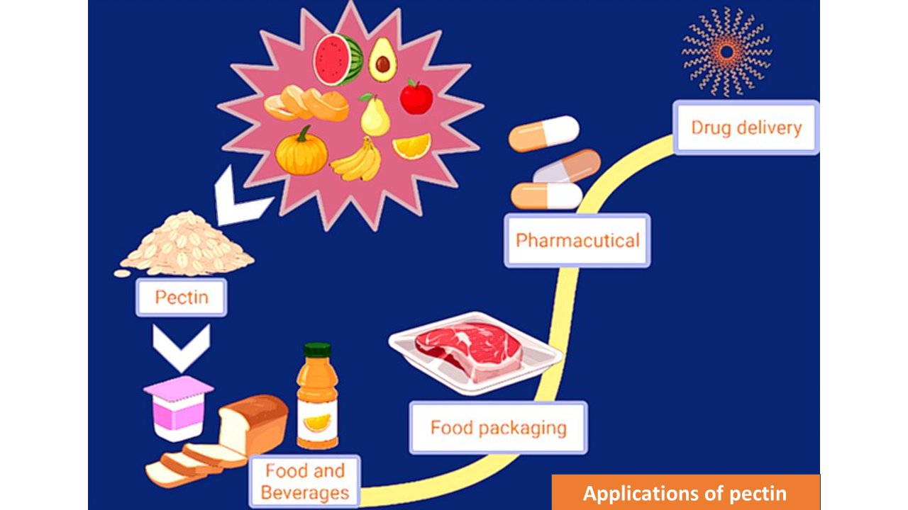 Foods | Free Full-Text | Current Advancements in Pectin: Extraction ...