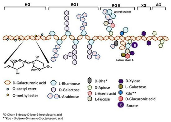Current Advancements in Pectin: Extraction, Properties and ...
