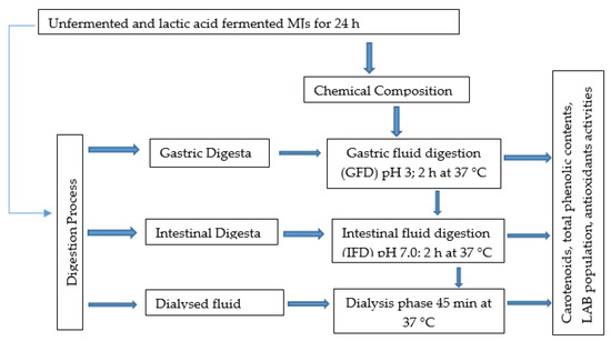 The Bioaccessibility and Antioxidant Activities of Fermented Mango ...