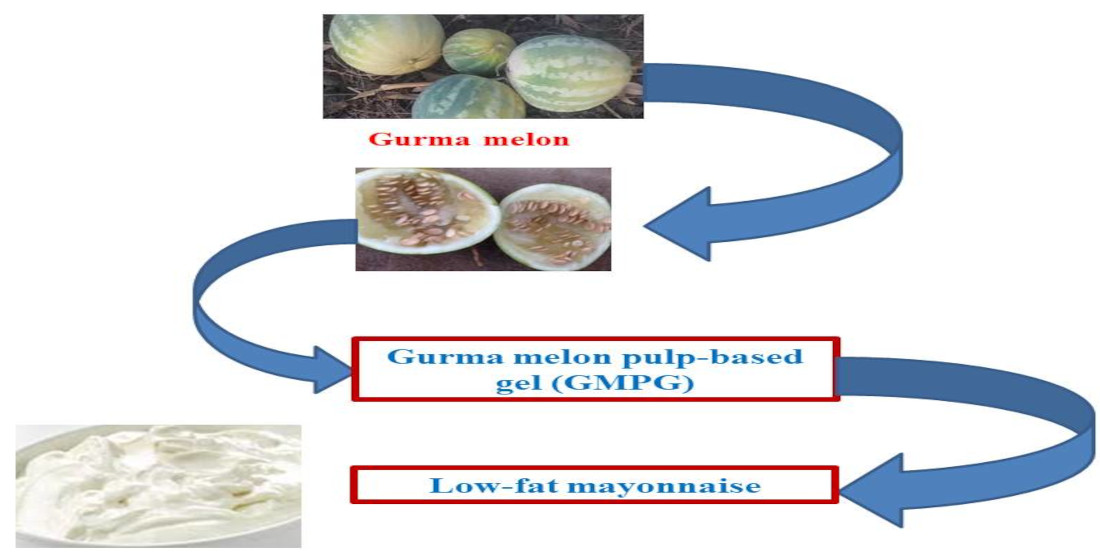 Foods | Free Full-Text | Application of Gurma Melon (Citrullus lantus ...