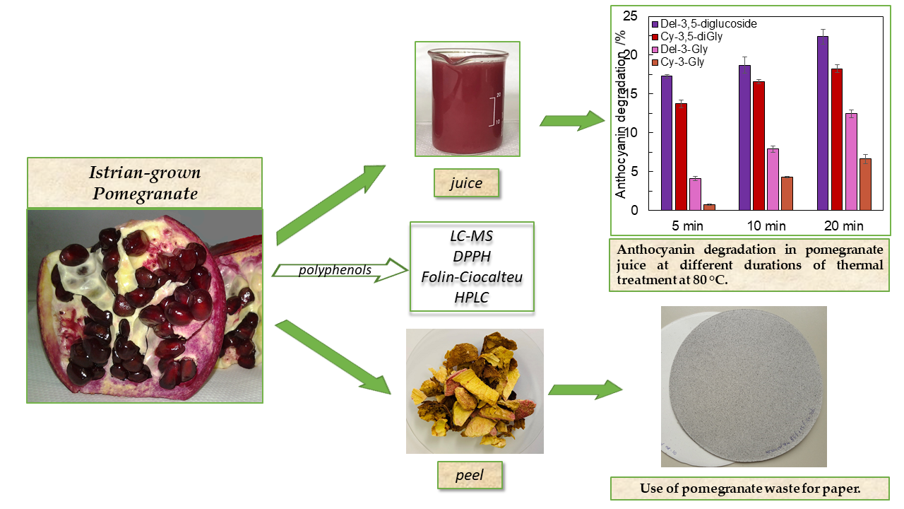 Foods | Free Full-Text | Extraction of Polyphenols and Valorization of ...
