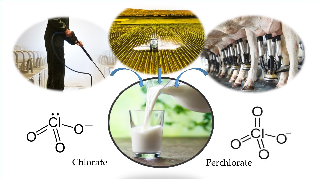 Foods | Free Full-Text | Presence of Chlorate and Perchlorate Residues ...