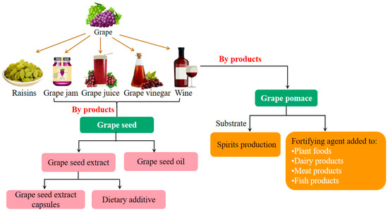 Bioactive Compounds, Health Benefits and Food Applications of Grape