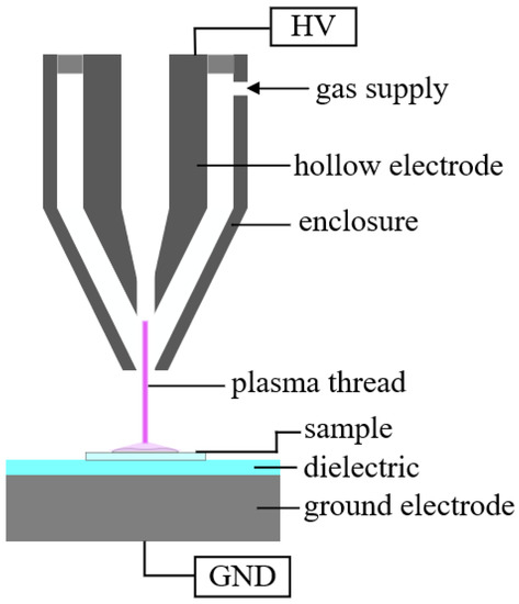 Spectroscopic Investigation of the Impact of Cold Plasma Treatment at ...