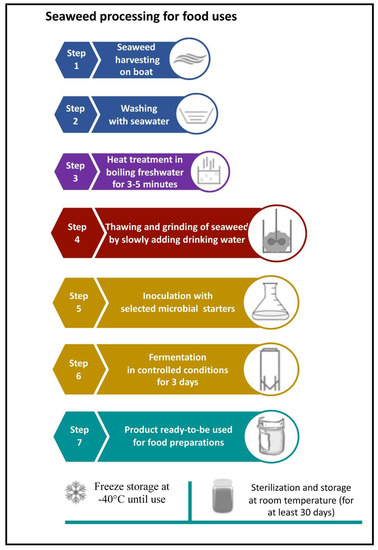 The Controlled Semi-Solid Fermentation of Seaweeds as a Strategy for ...