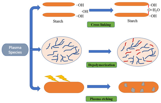 Impacts of Cold Plasma Technology on Sensory, Nutritional and Safety ...