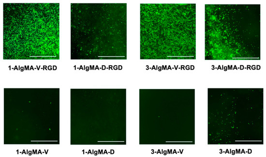 Dual-Crosslinked Alginate-Based Hydrogels with Tunable Mechanical ...