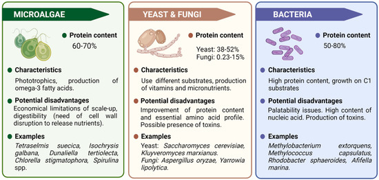 Single-Cell Proteins Obtained by Circular Economy Intended as a Feed ...