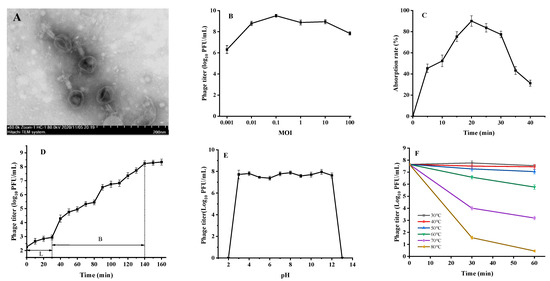 Properties of a Novel Salmonella Phage L66 and Its Application Based on ...