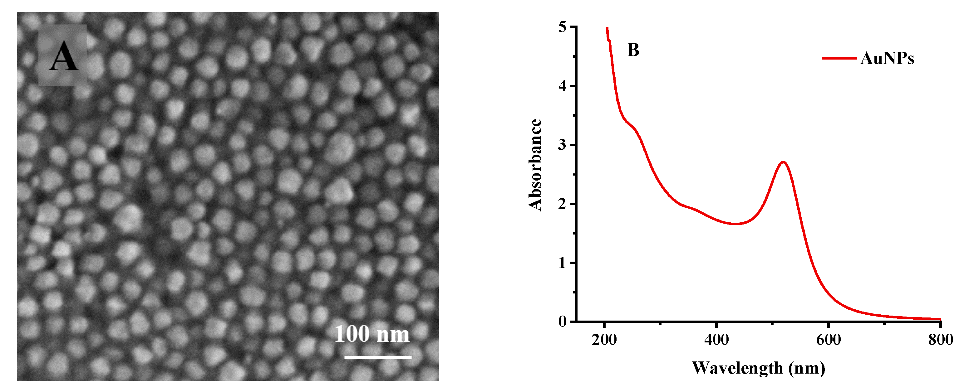 Properties of a Novel Salmonella Phage L66 and Its Application Based on ...