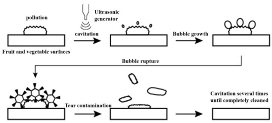 Use of Ultrasonic Cleaning Technology in the Whole Process of Fruit and Vegetable Processing