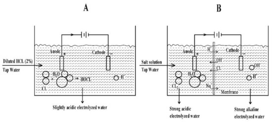 Use of Ultrasonic Cleaning Technology in the Whole Process of Fruit and ...
