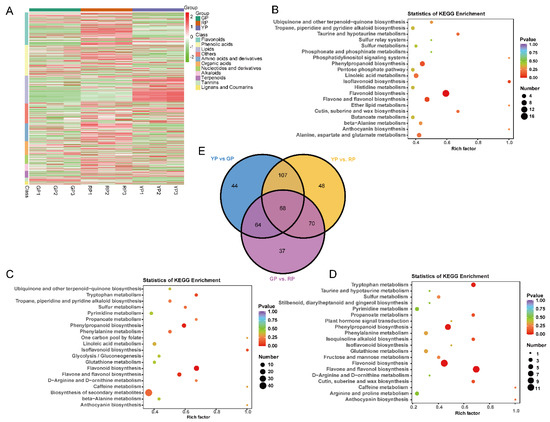 Transcriptomic and Metabolomic Analyses Providing Insights into the ...
