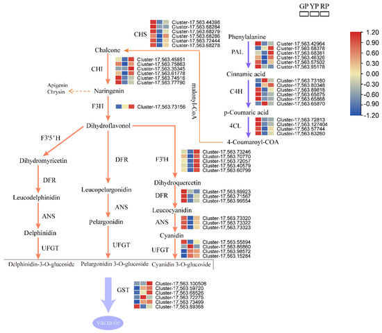 Transcriptomic and Metabolomic Analyses Providing Insights into the ...
