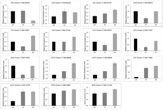 Transcriptomic and Metabolomic Analyses Providing Insights into the ...