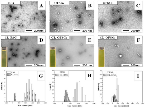 Curcumin-Loaded Self-Assembly Constructed by Octenylsuccinate Fish ...