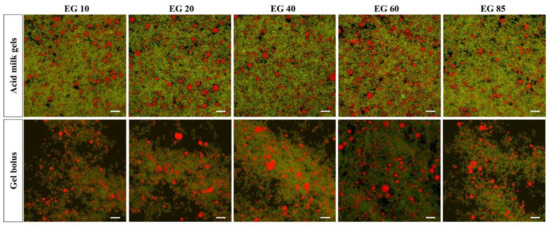 Effect of Solid Fat Content in Fat Droplets on Creamy Mouthfeel of Acid ...
