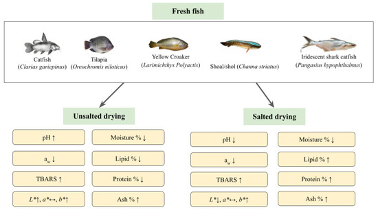 Foods | Free Full-Text | A Comprehensive Review on the Processing of ...