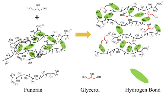 A Green Film-Forming Investigation of the Edible Film Based on Funoran ...