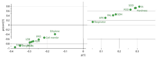 Effects of 1-MCP Treatment on Physiology and Storage Quality of Root Mustard at Ambient Temperature