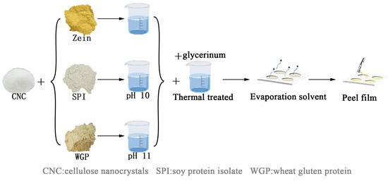Research on the Properties of Zein, Soy Protein Isolate, and Wheat ...