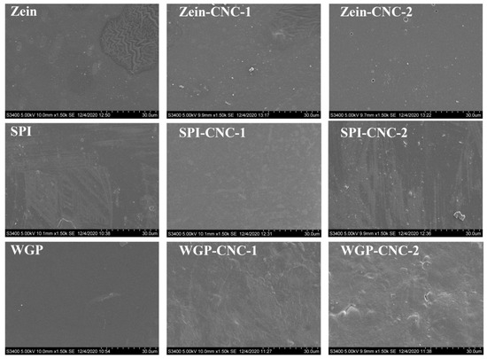 Research on the Properties of Zein, Soy Protein Isolate, and Wheat ...