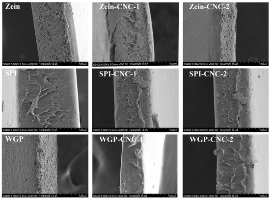 Research on the Properties of Zein, Soy Protein Isolate, and Wheat ...