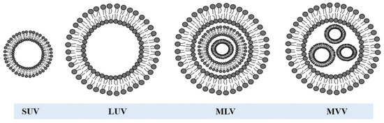 Liposomes as Delivery System for Applications in Meat Products
