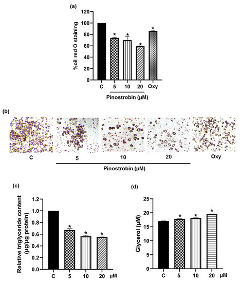Pinostrobin: An Adipogenic Suppressor from Fingerroot (Boesenbergia ...