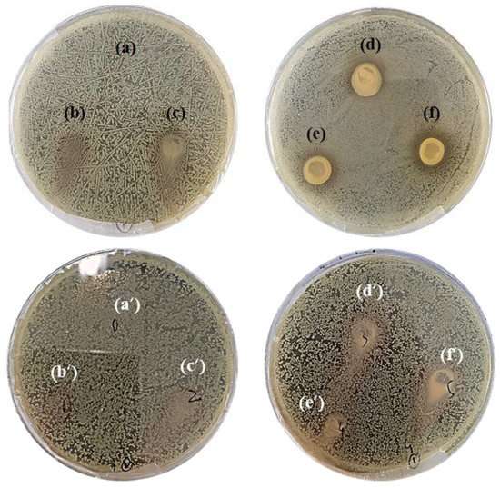 Bioactive Edible Sodium Alginate Films Incorporated with Tannic Acid as ...