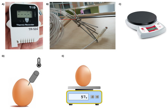 Egg Freshness Prediction Model Using Real-Time Cold Chain Storage ...