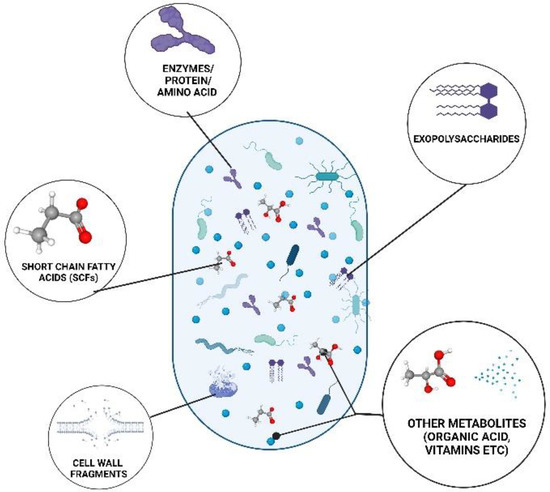 Postbiotics: Current Trends in Food and Pharmaceutical Industry