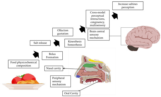 Strategies to Reduce Salt Content and Its Effect on Food ...