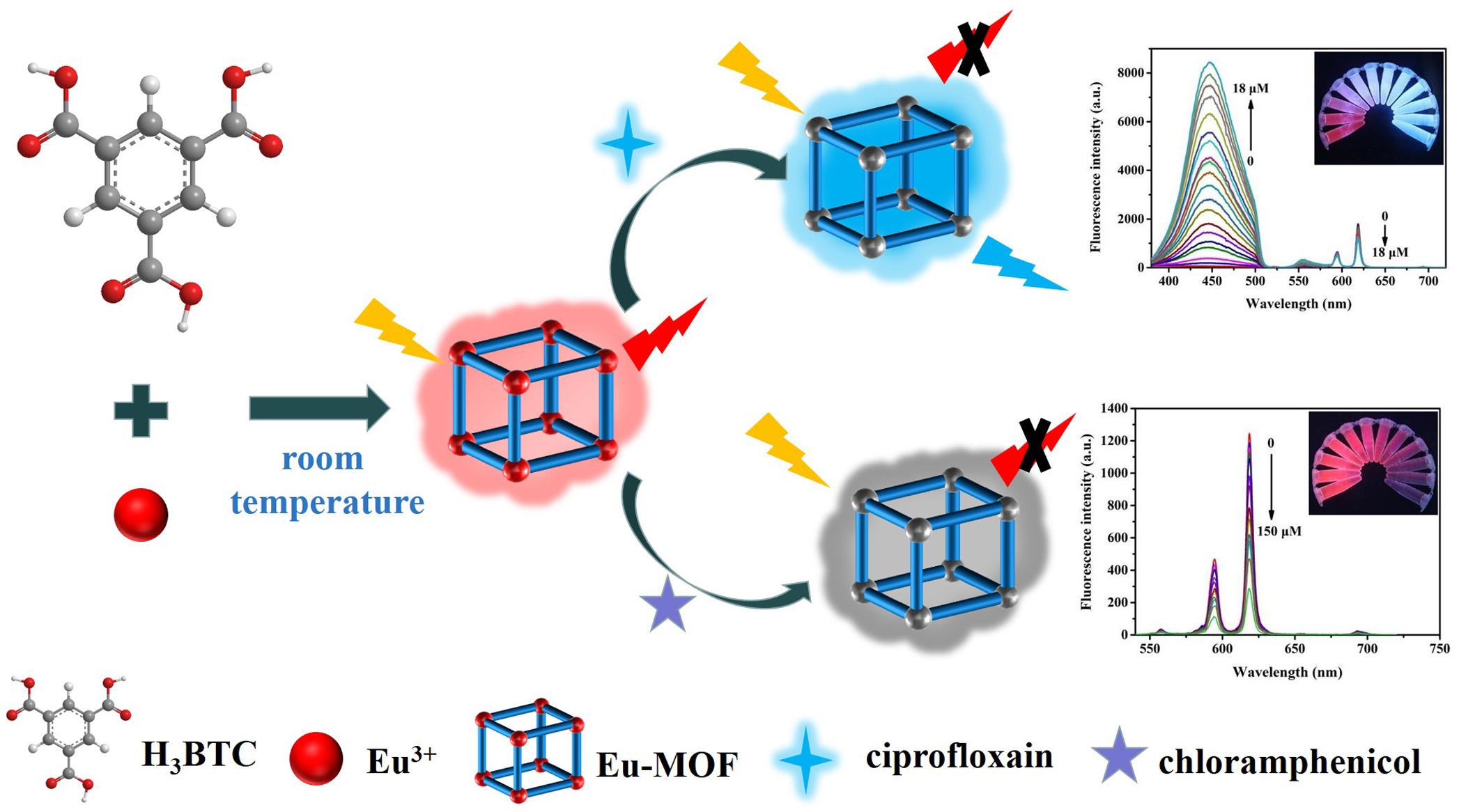 Foods | Free Full-Text | Fluorescent Sensing of Ciprofloxacin and ...