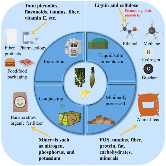 The Valorization of Banana By-Products: Nutritional Composition ...