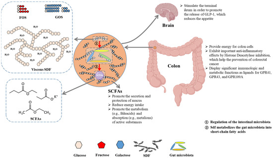 The Valorization of Banana By-Products: Nutritional Composition ...