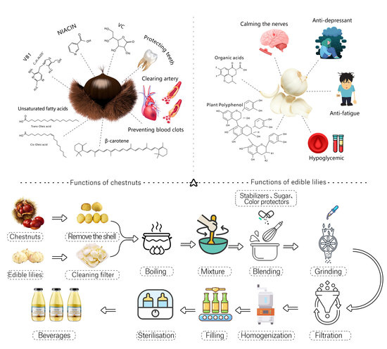 Foods | Free Full-Text | Physical Stability of Chestnut Lily Beverages ...