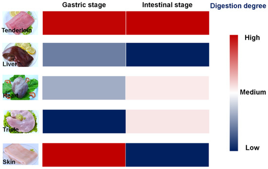 Digestion Profiles of Protein in Edible Pork By-Products