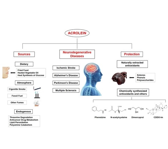 Foods | Free Full-Text | The Role of Acrolein in Neurodegenerative ...
