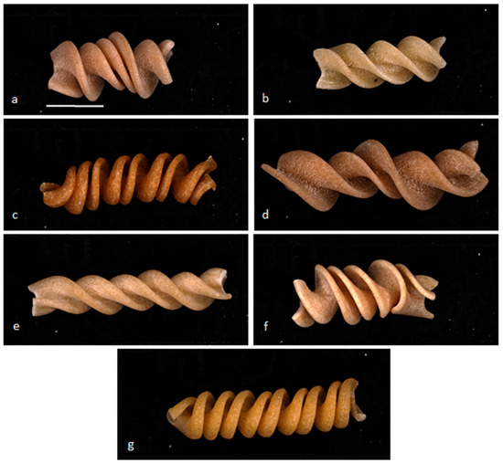 Physicochemical and Sensorial Characterization of Artisanal Pasta from ...