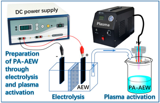 Plasma-Activated Acidic Electrolyzed Water: A New Food Disinfectant for ...